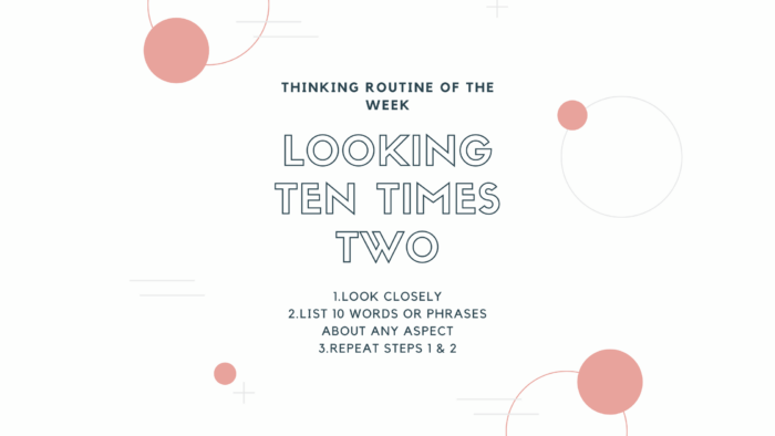Visible Thinking Routine of the Week: Looking Ten Times Two