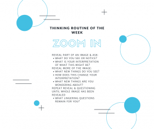 Thinking Routine of the Week: Zoom In